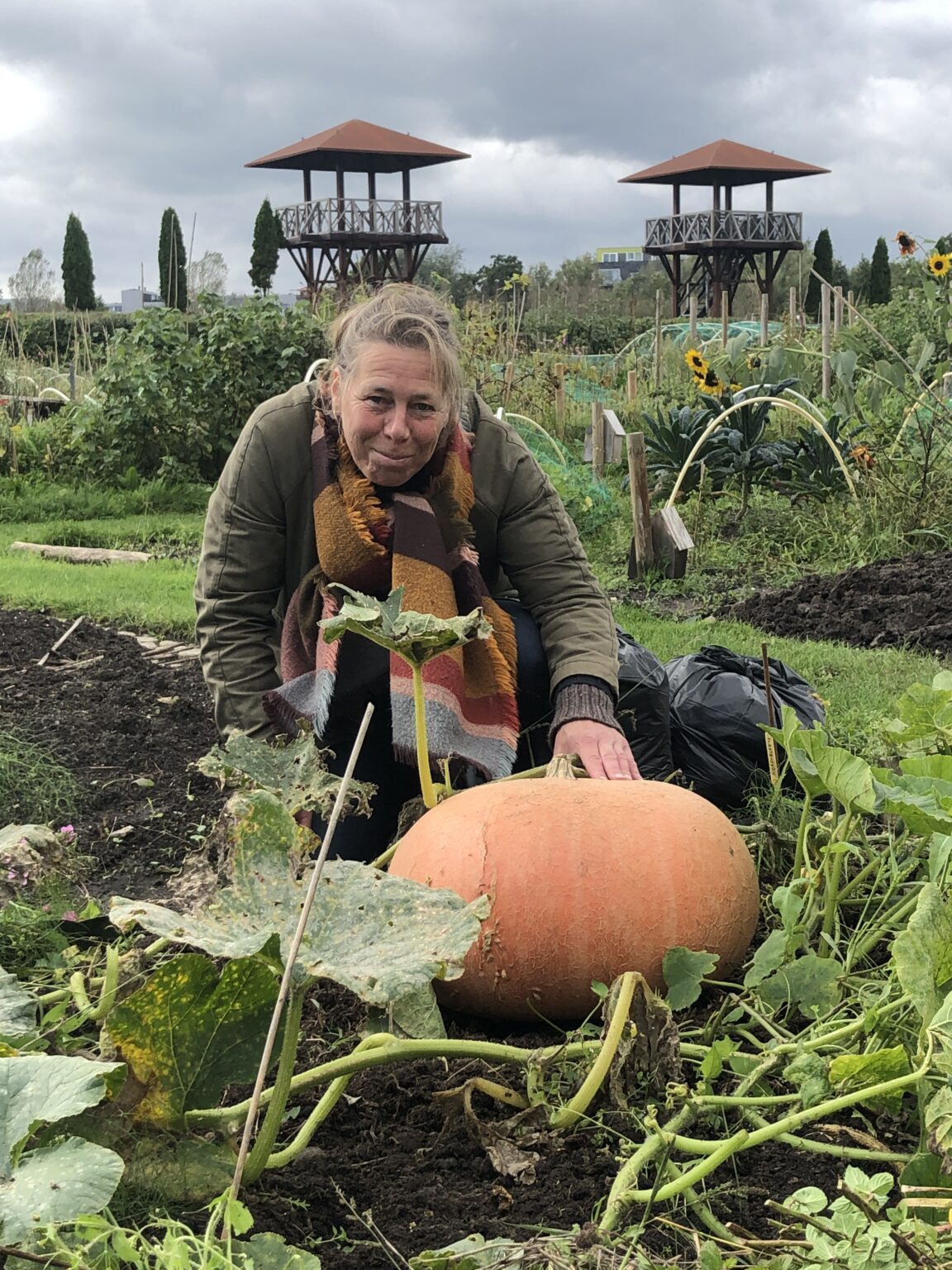 Park Matilo oogst de grootste pompoen van de Limes – Park Matilo